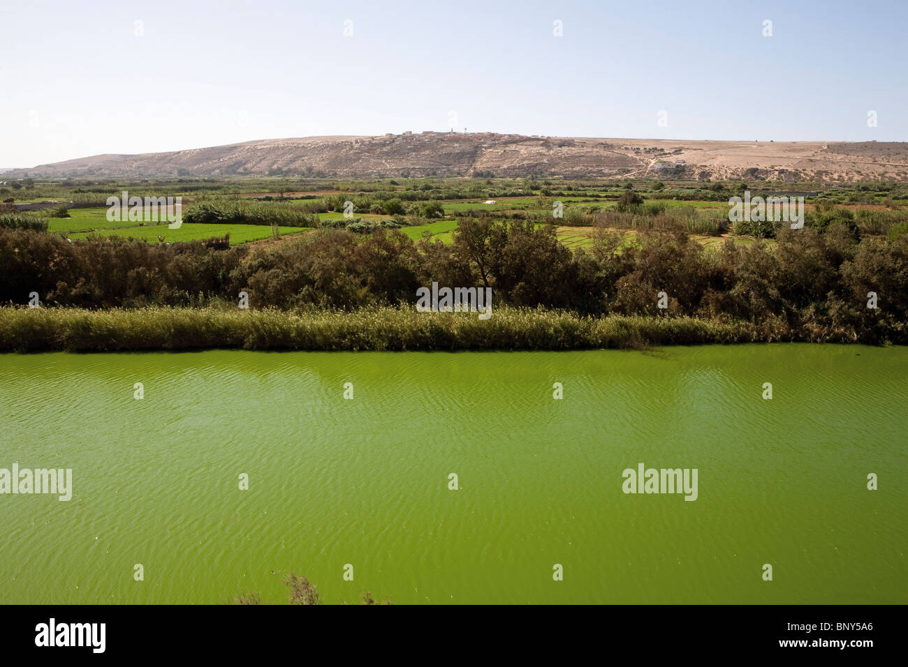 Souss massa hi-res stock photography and images - Alamy