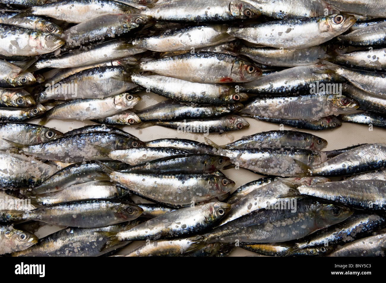 Freshly fished sardines in a market stall, Essaouira, Morocco Stock ...