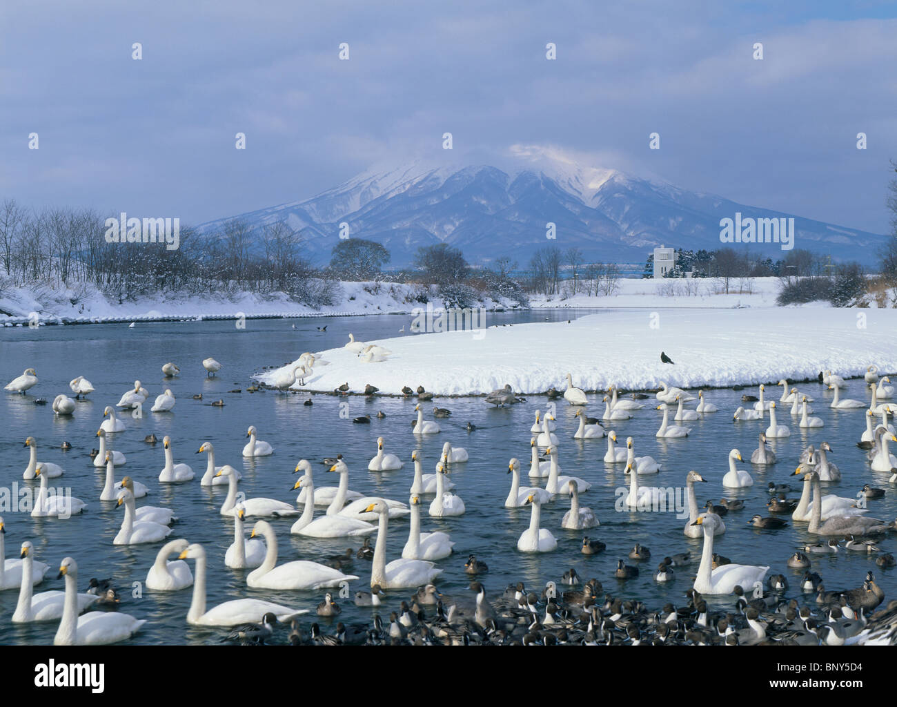 Mount hira hi-res stock photography and images - Alamy