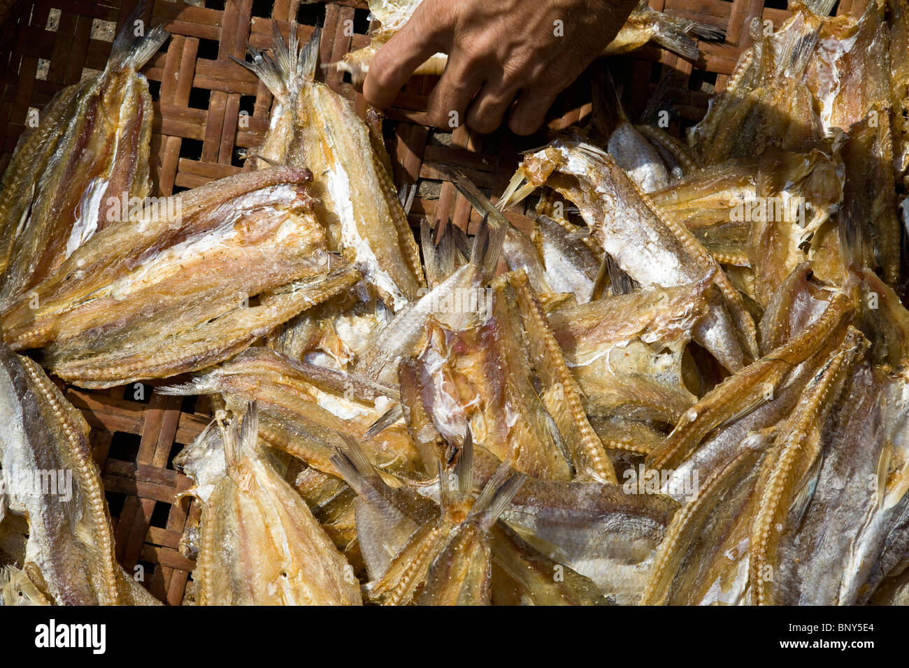 Preparations of fish hi-res stock photography and images - Alamy