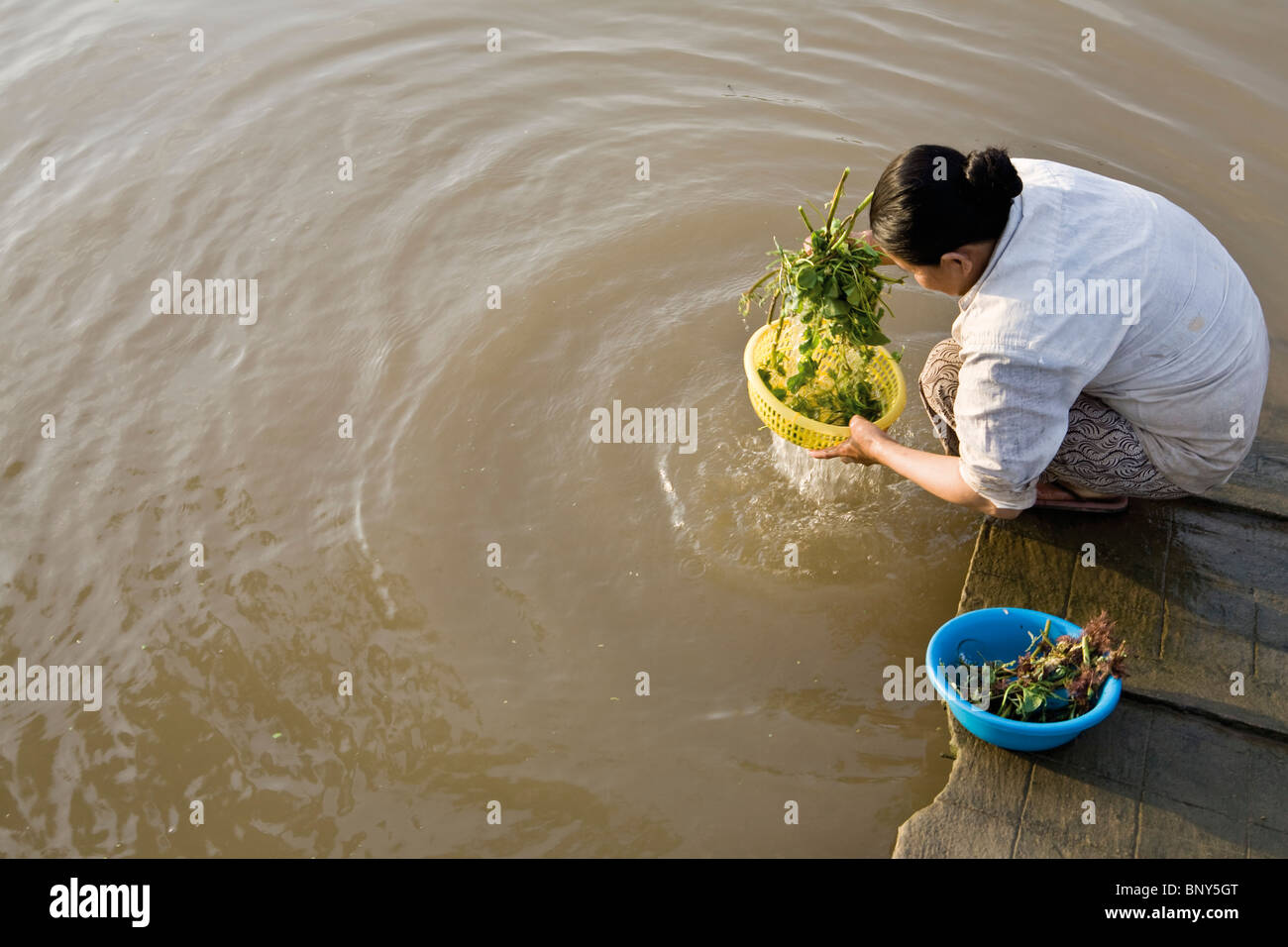 Woman washing vegetables in the Mekong River, Phong Hoa Village ...