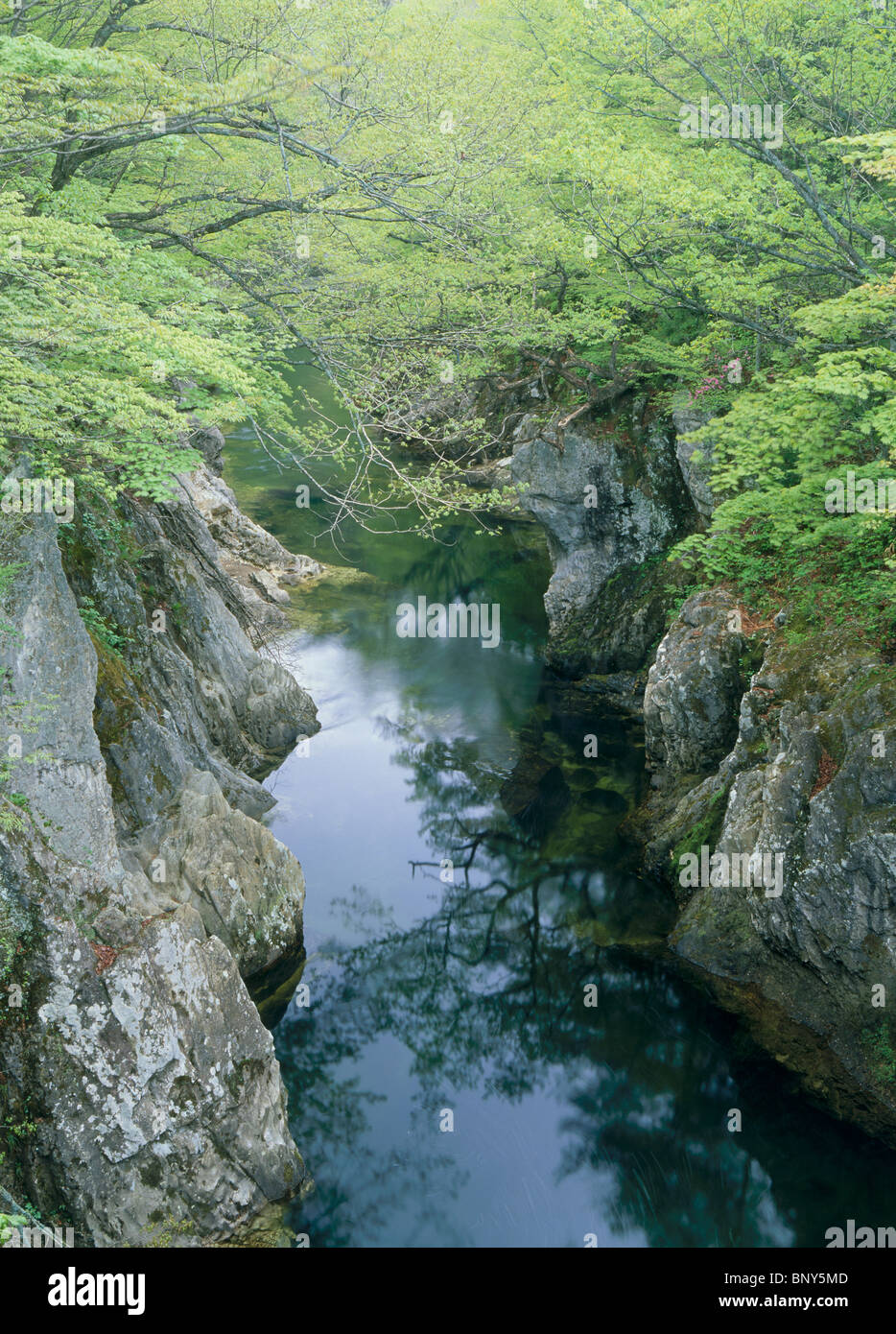 Mutsu hi-res stock photography and images - Alamy