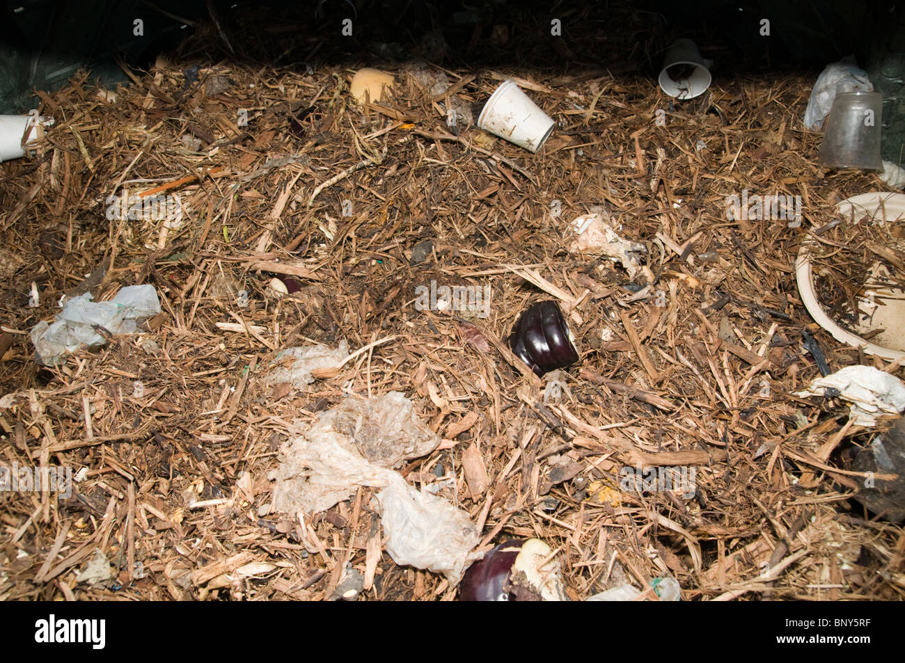 Stages of decomposition hi-res stock photography and images - Alamy