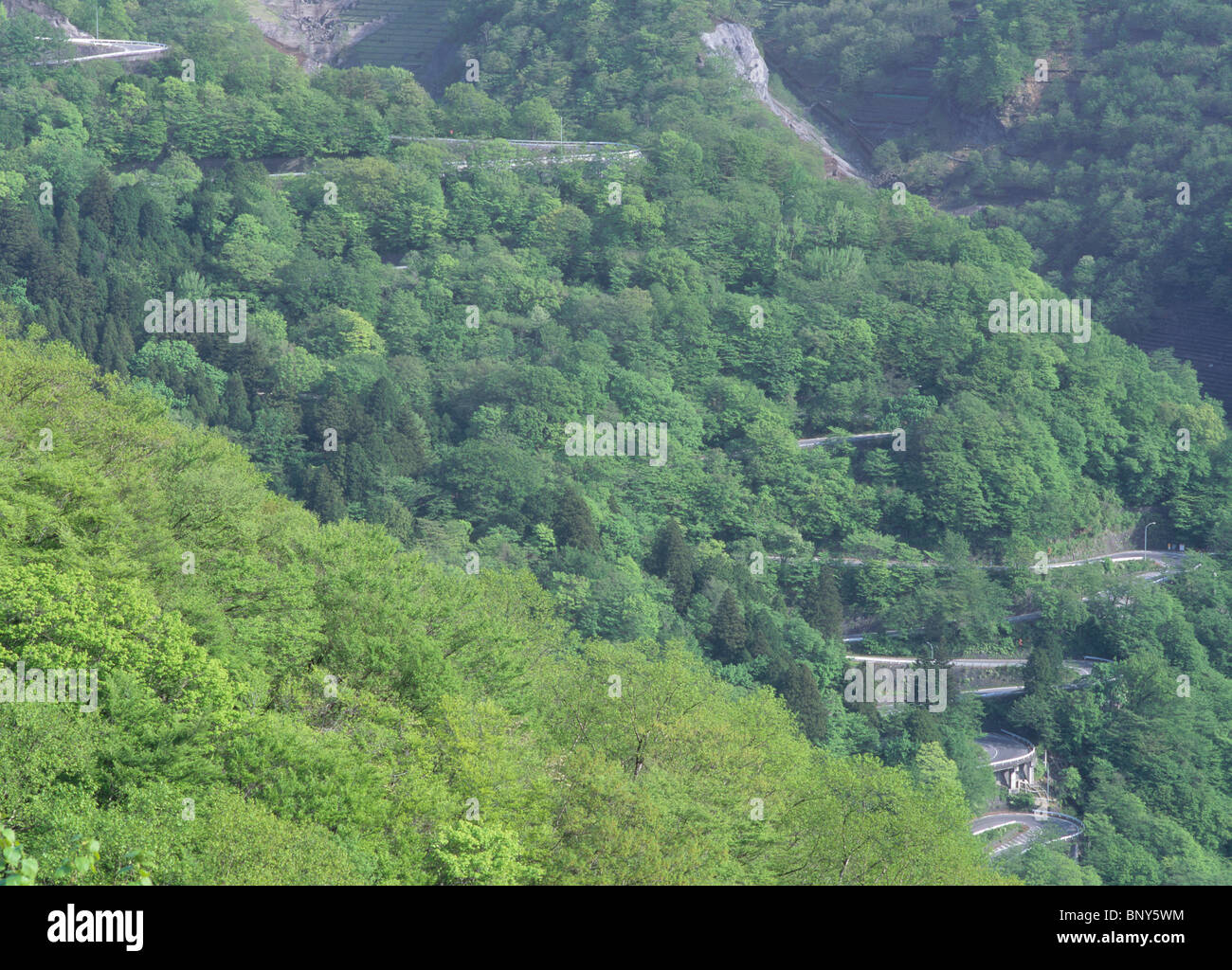 Irohazaka, Nikko, Tochigi, Japan Stock Photo - Alamy