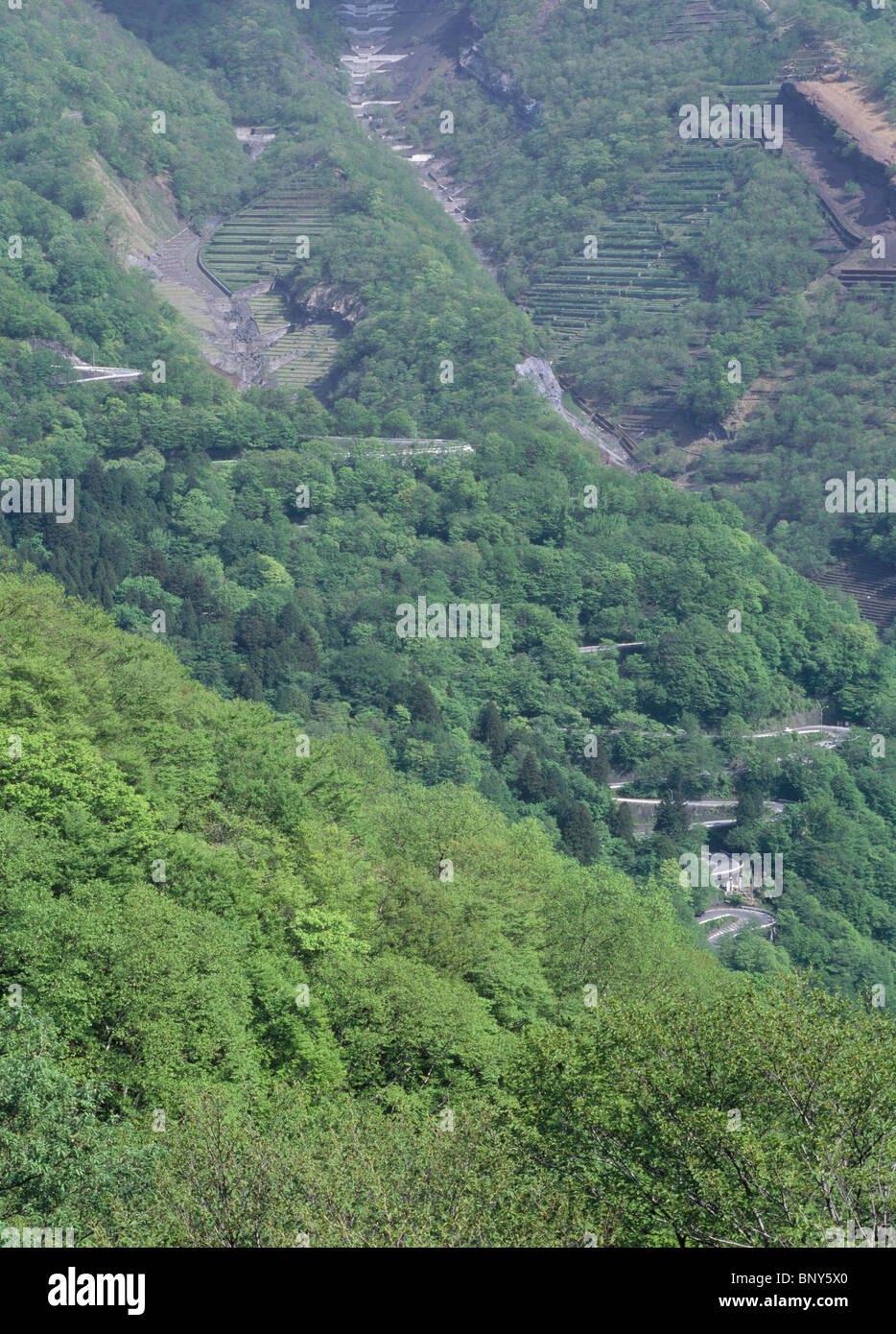 Irohazaka japan hi-res stock photography and images - Alamy