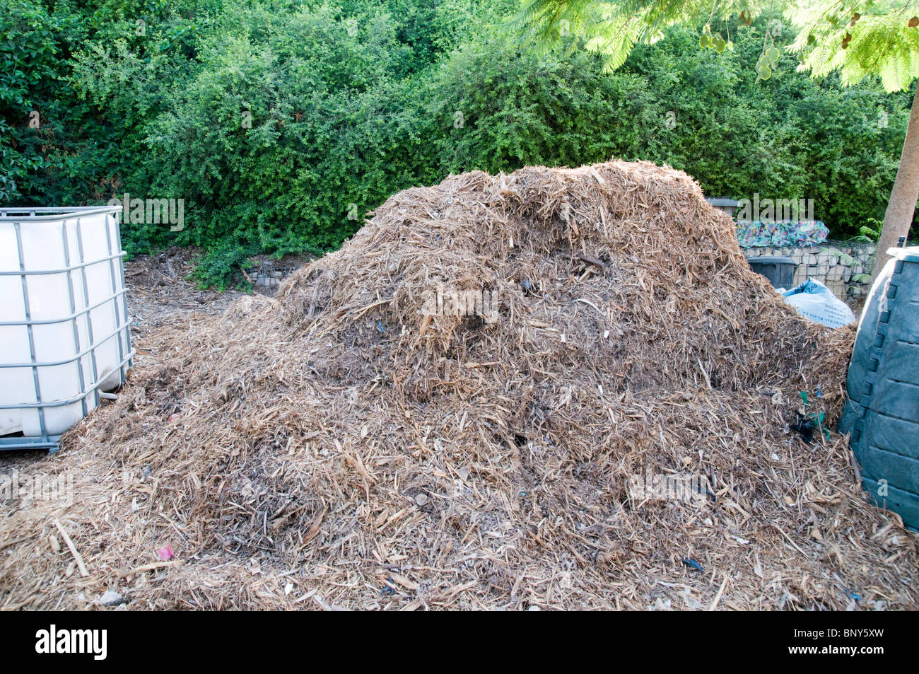 Stages of decomposition hi-res stock photography and images - Alamy