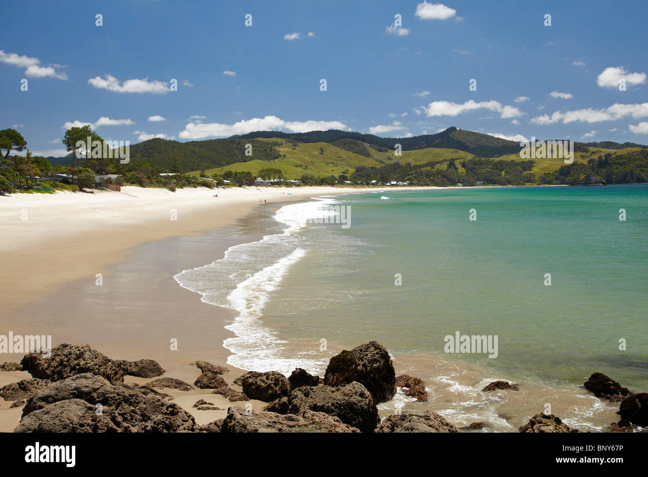 Whangapoua Beach, Coromandel Peninsula, North Island, New Zealand Stock ...