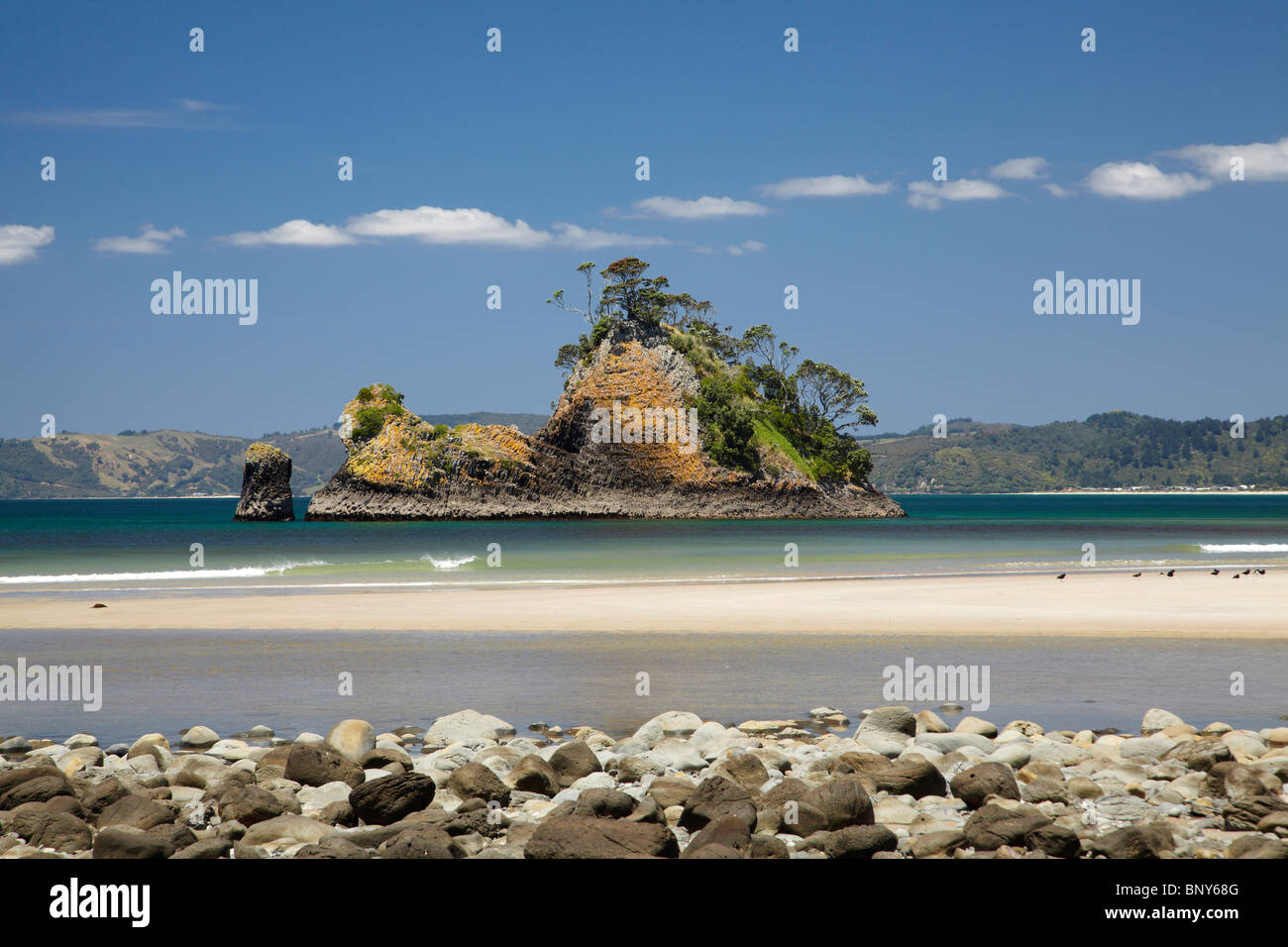 Pungapunga Island, Whangapoua, Coromandel Peninsula, North Island, New ...