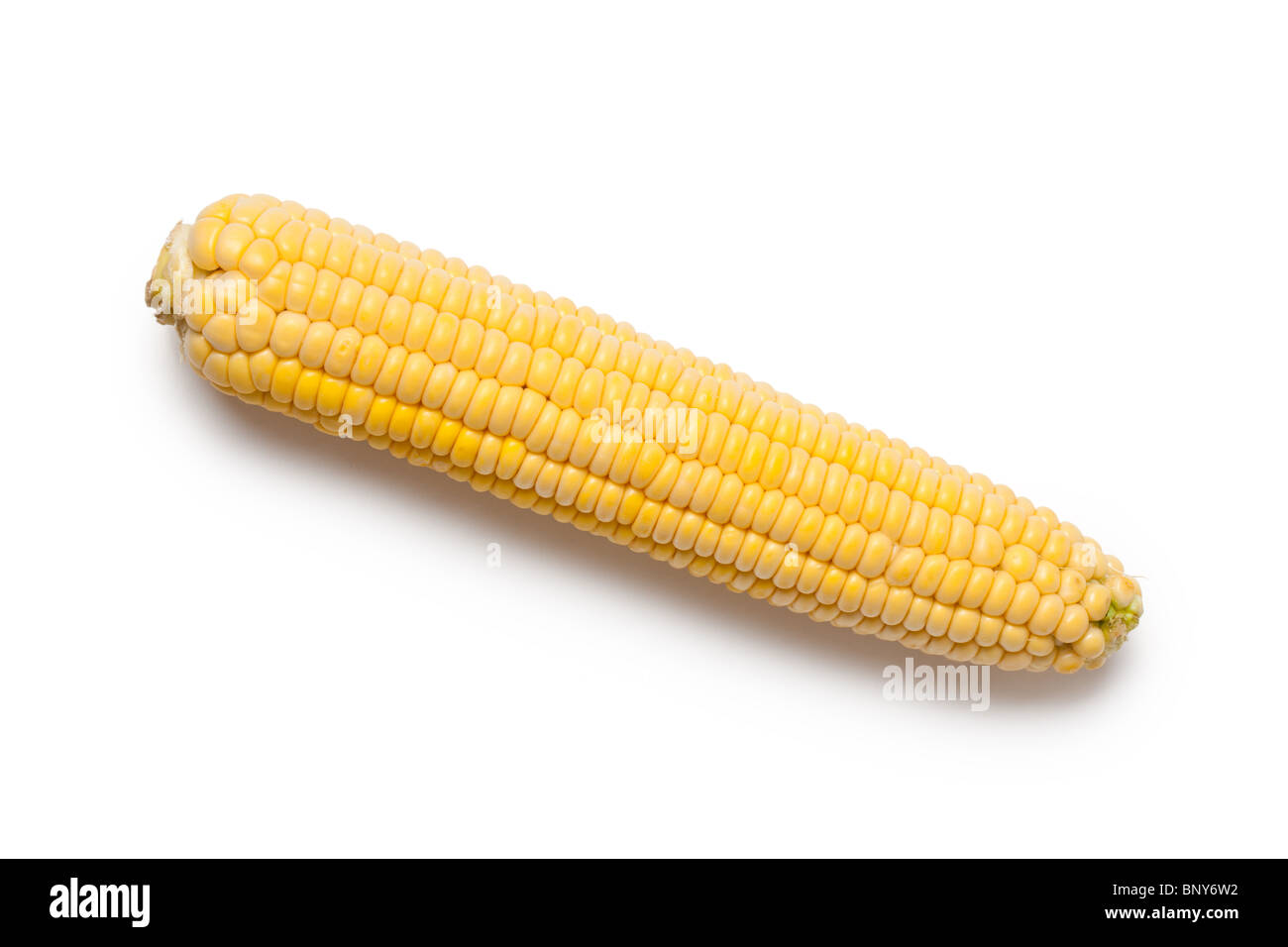 Corn husk Cut Out Stock Images & Pictures - Alamy