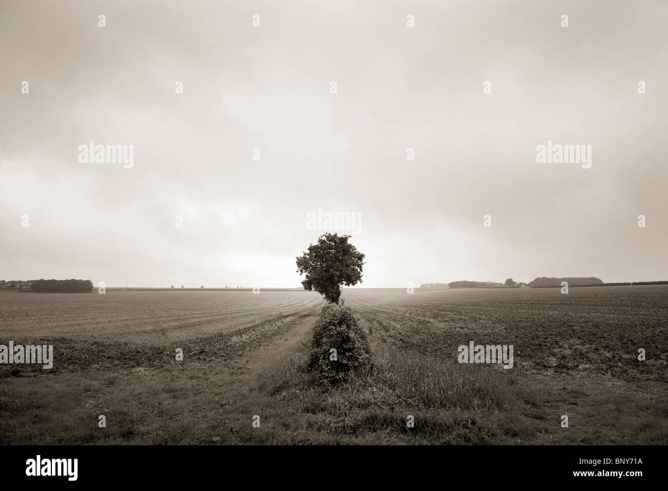 Open field hi-res stock photography and images - Alamy