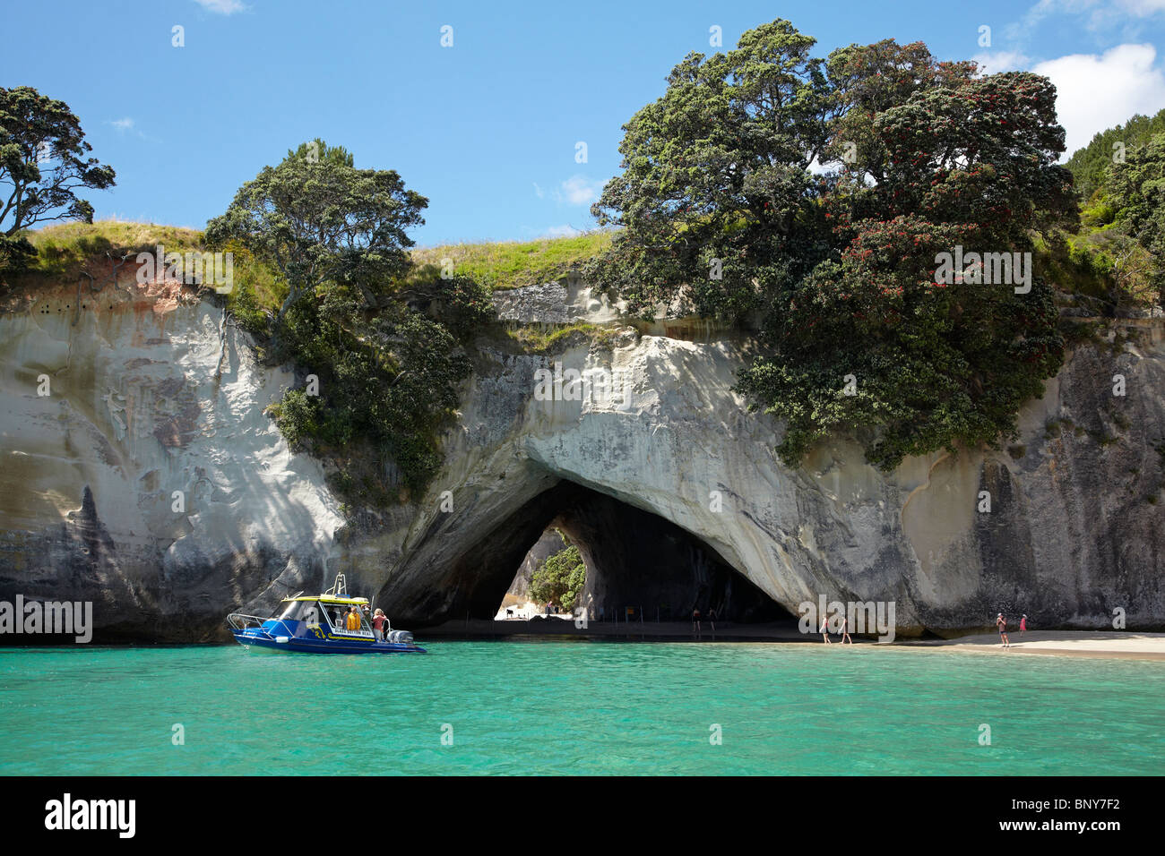 Glass Bottom Boat, Cathedral Cove, Coromandel Peninsula, North Island ...