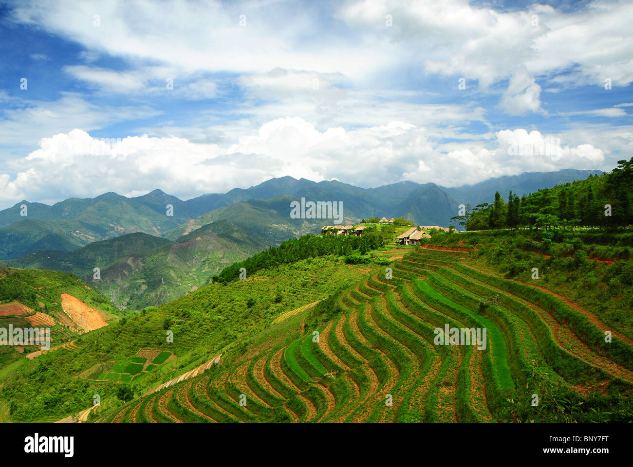 Kim fields hi-res stock photography and images - Alamy