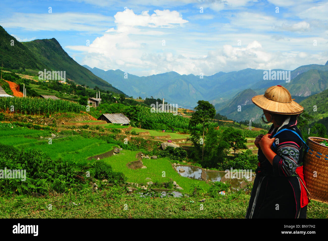 Muong Hoa Valley, Northern Vietnam Stock Photo - Alamy