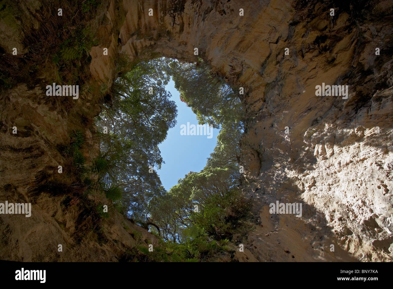 Collapsed sea cave hi-res stock photography and images - Alamy
