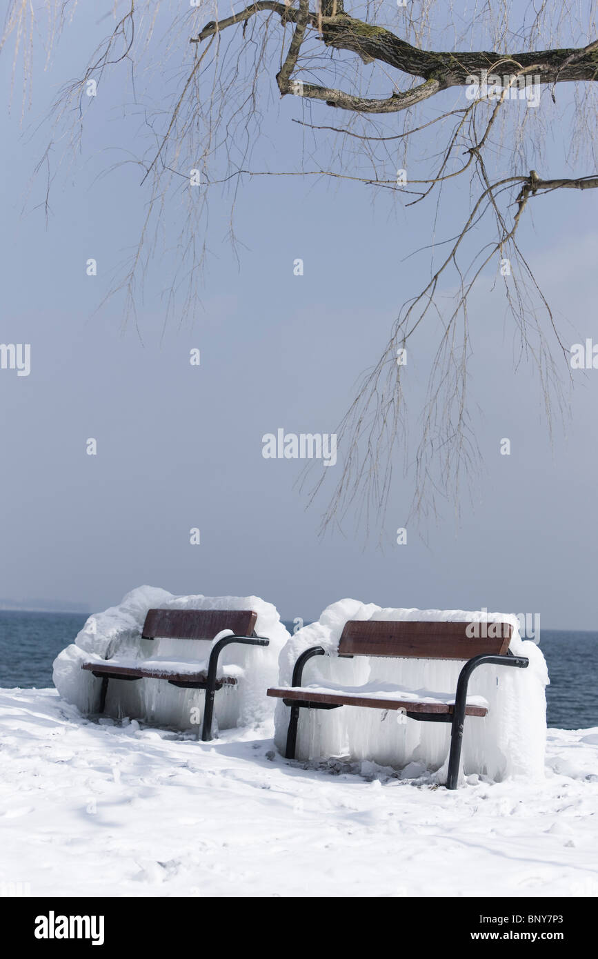 Bench Benches Branch High Resolution Stock Photography and Images - Alamy