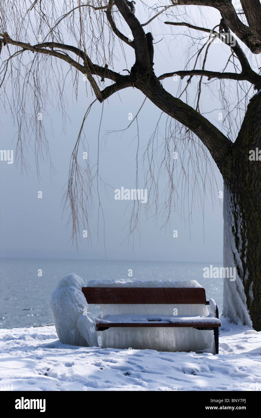 Park bench covered in ice and snow Stock Photo - Alamy
