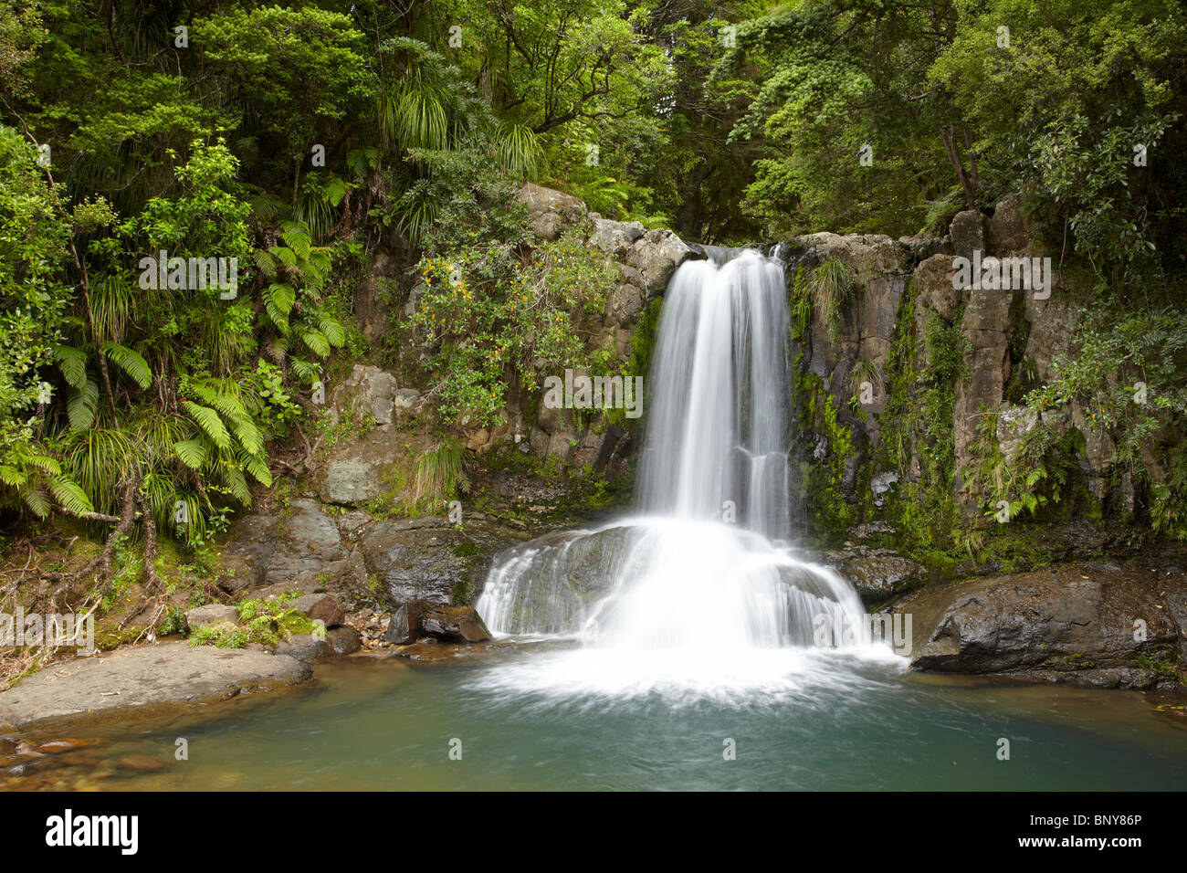 Waiau Waterfall, 309 Road, Coromandel Peninsula, North Island, New ...