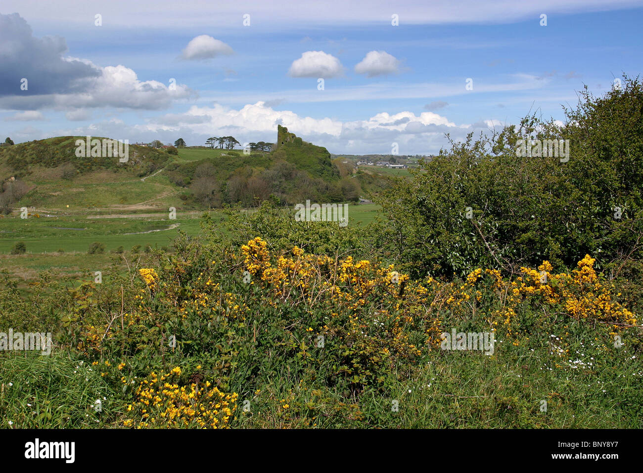 Ireland, Waterford, Dunhill Castle Stock Photo - Alamy