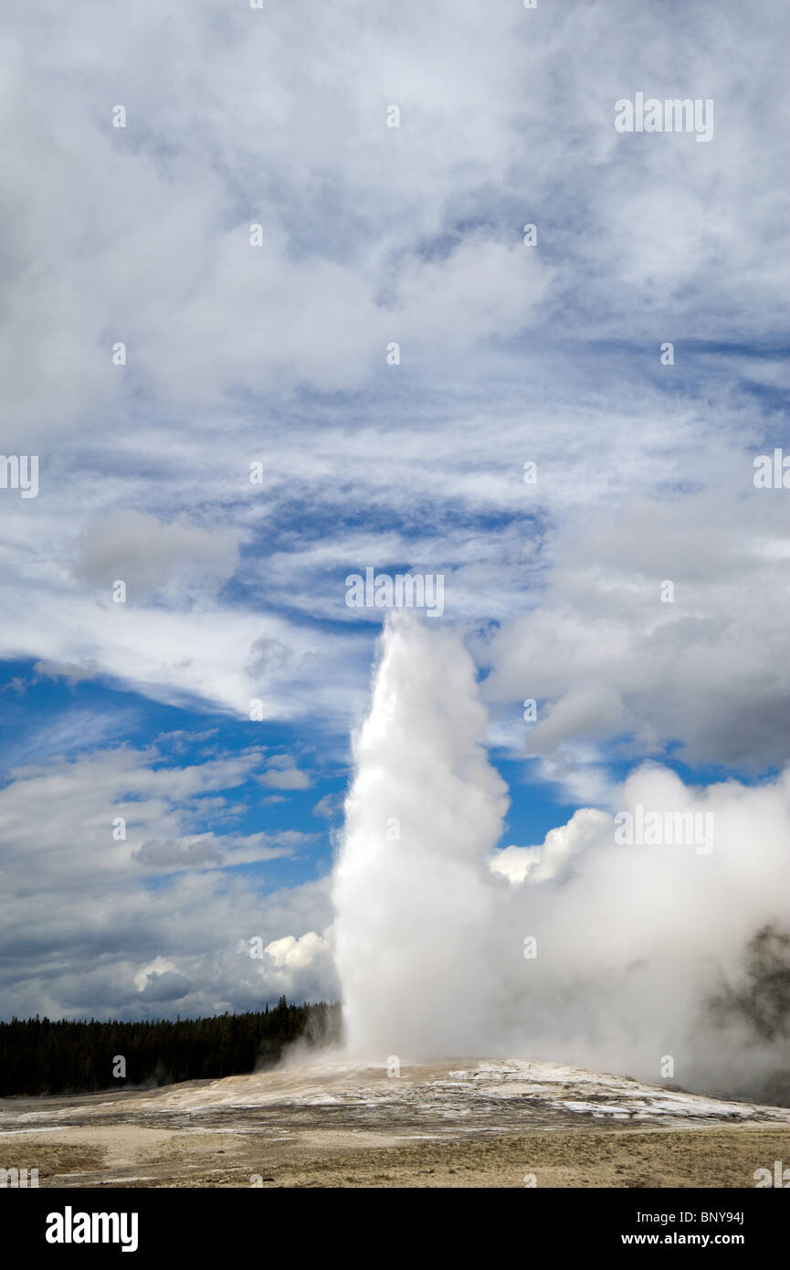 Old Faithful geyser in Yellowstone Stock Photo - Alamy