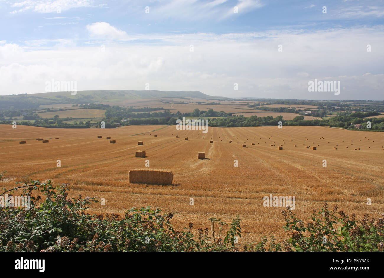 Cuckmere valley hi-res stock photography and images - Alamy