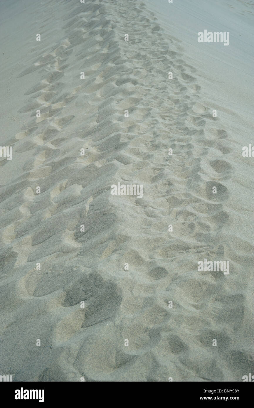 Path through the sand dunes Stock Photo - Alamy