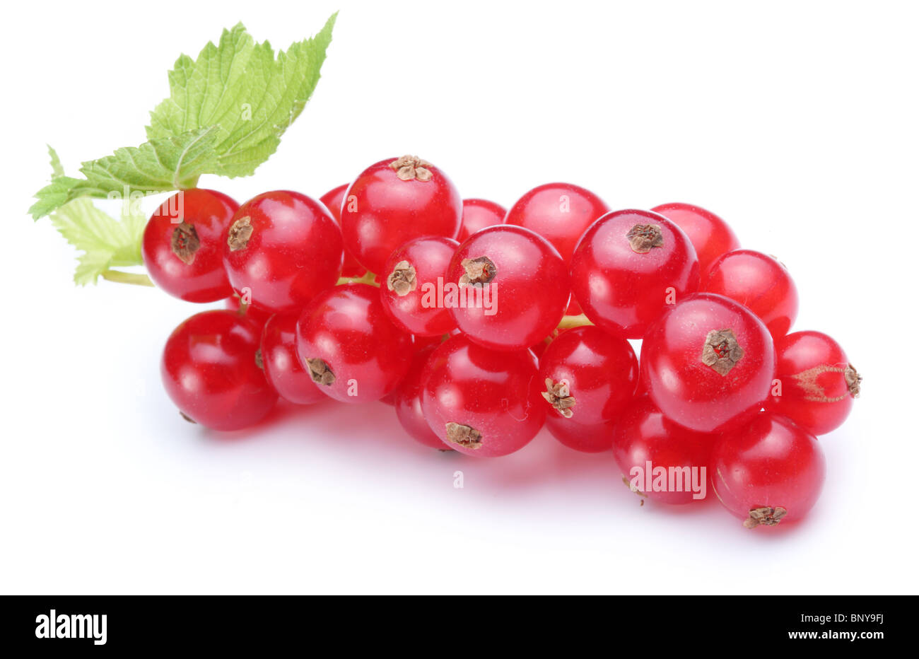 Red currants fruit hi-res stock photography and images - Alamy