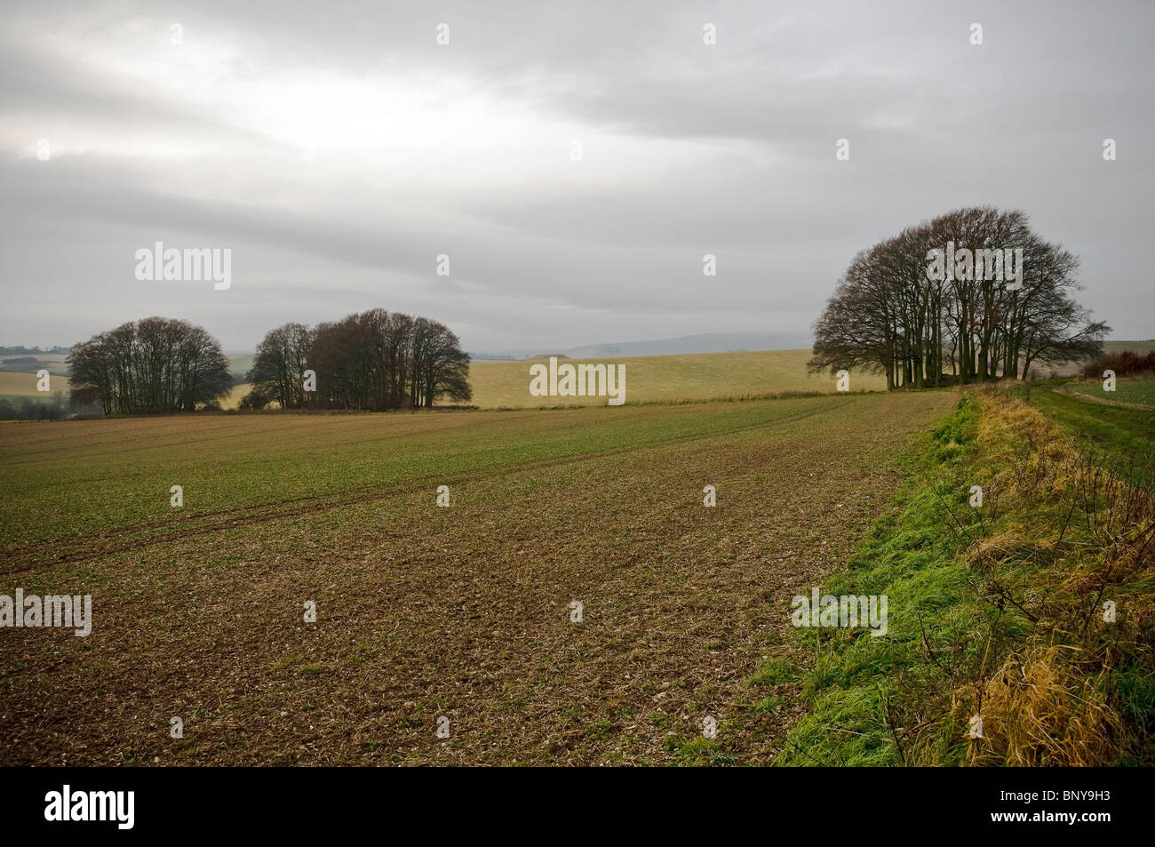Bronze Age round barrows on Overton Hill, Marlborough Downs, Wiltshire ...