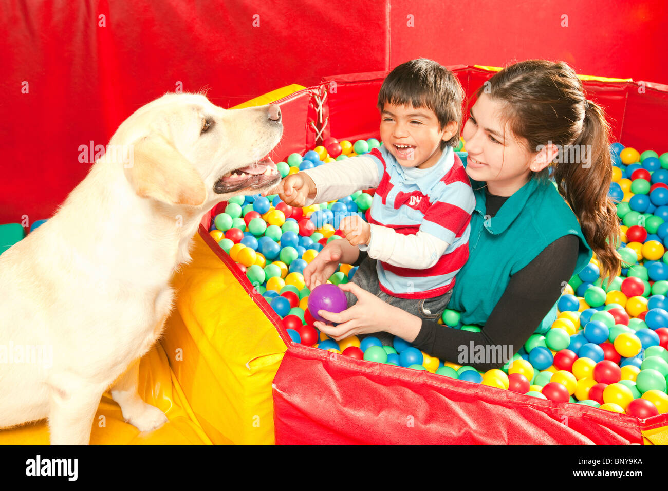 Trained animals hi-res stock photography and images - Alamy