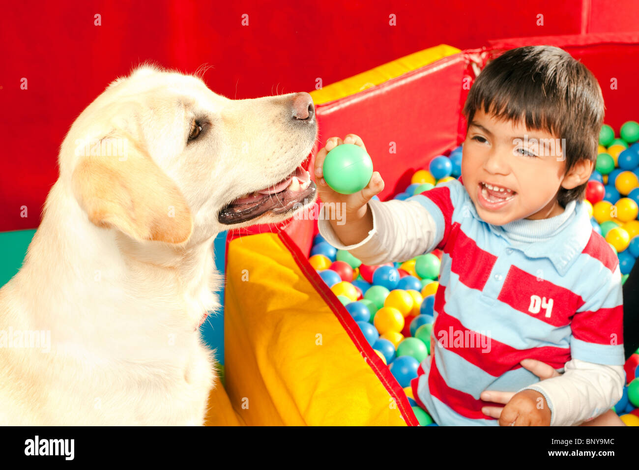 Trained animals hi-res stock photography and images - Alamy