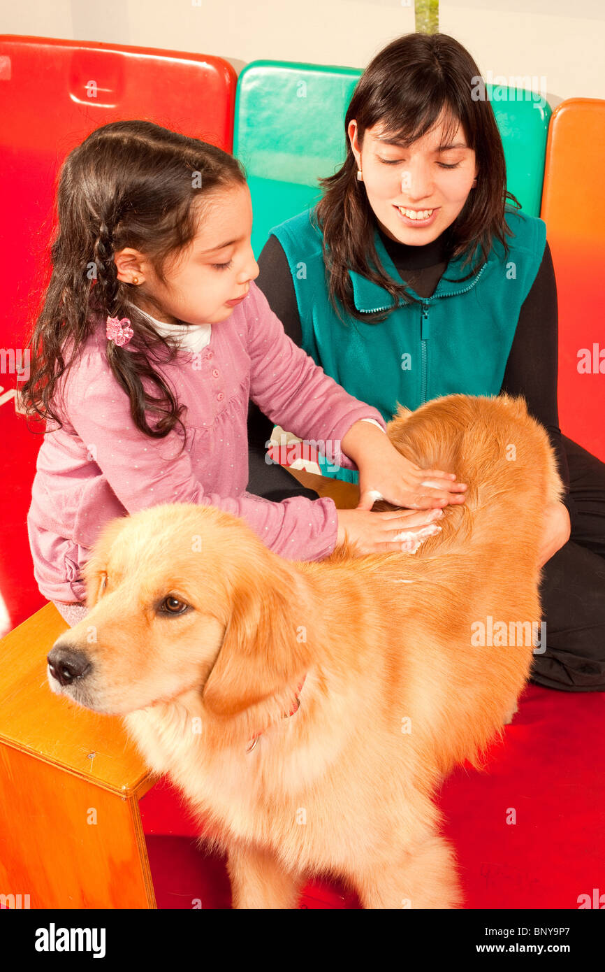 Dog being trained hi-res stock photography and images - Alamy
