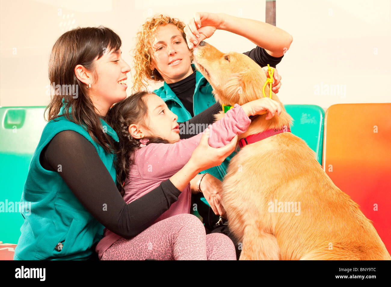 Patient being treated with the assistance of a trained dog Stock Photo ...