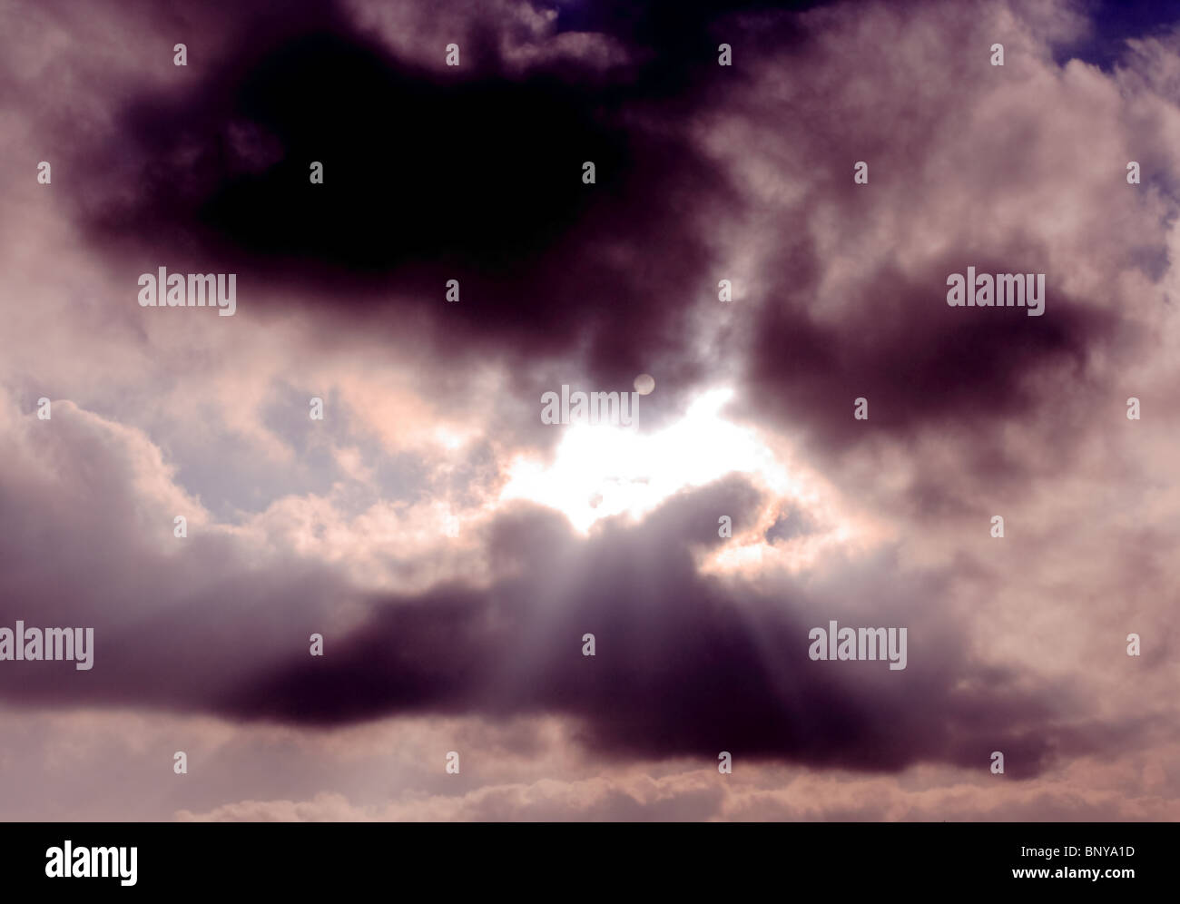 Sunlight magic hi-res stock photography and images - Alamy