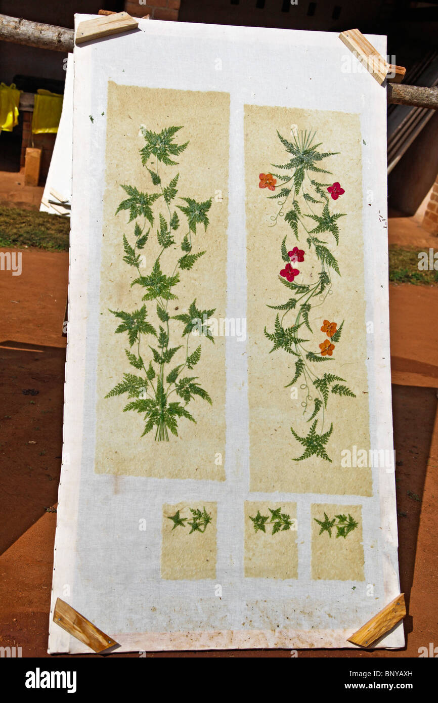 Handmade paper with inlaid petals and leaves out drying on a stretcher ...