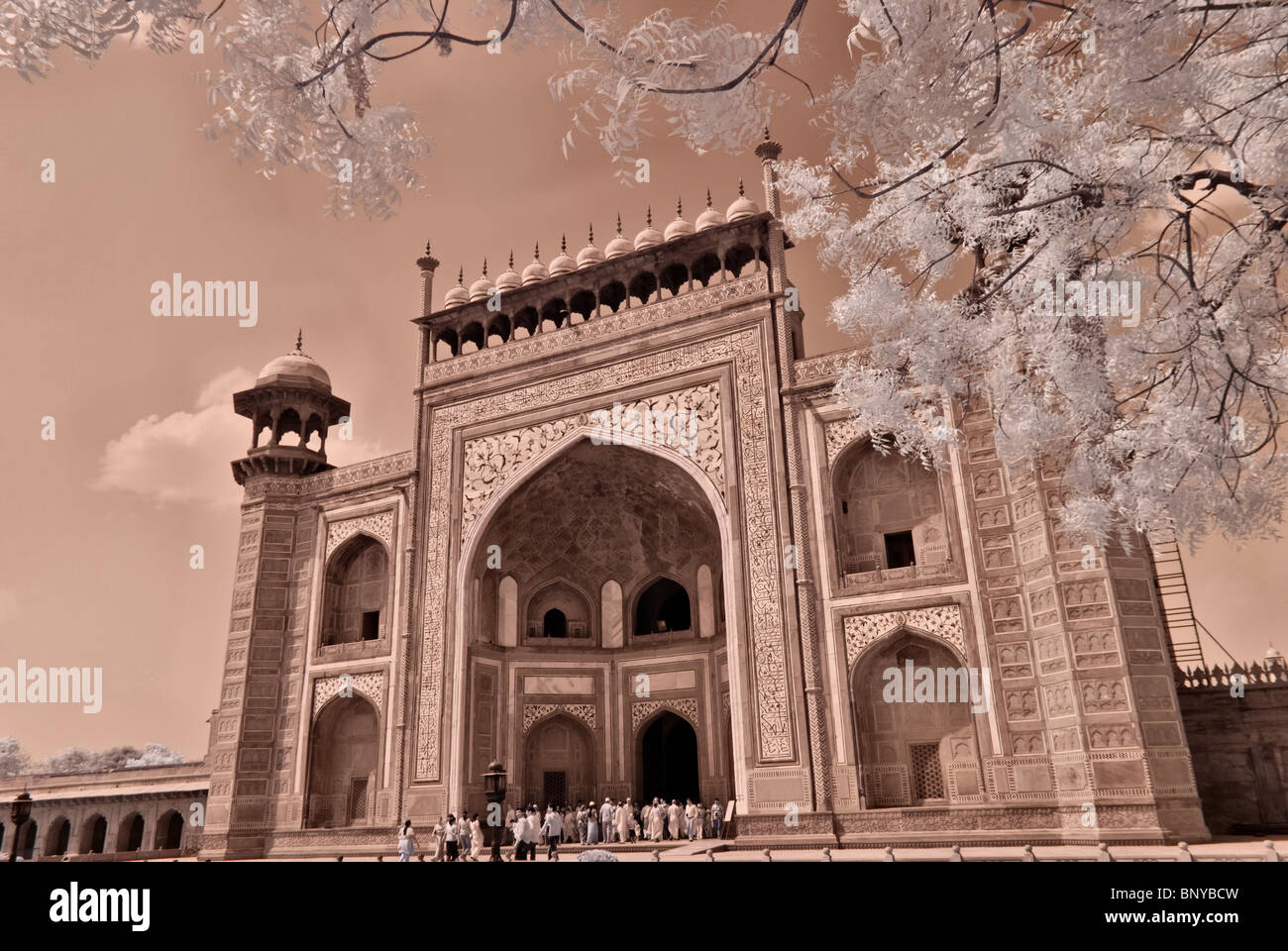 The Great gate - Taj Mahal Stock Photo - Alamy
