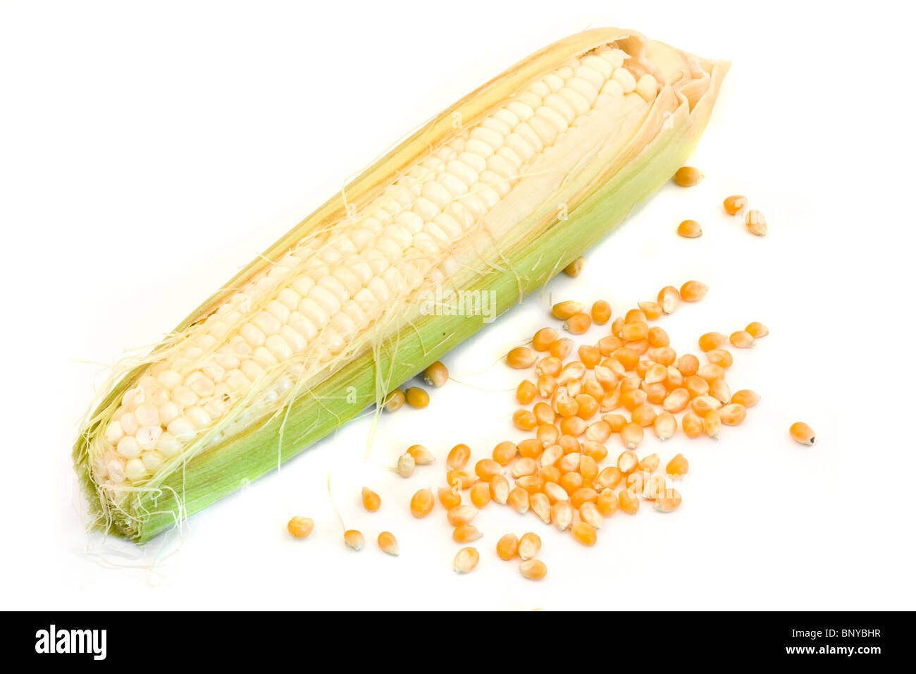 Corn cob with seeds on white background Stock Photo - Alamy