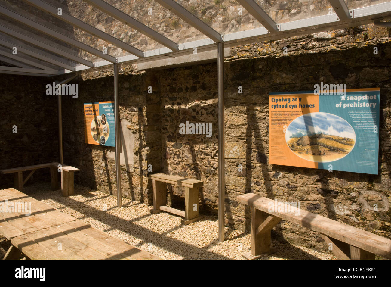 Sheltered area in old farmhouse, Skomer Island, Pembrokeshire, Wales ...
