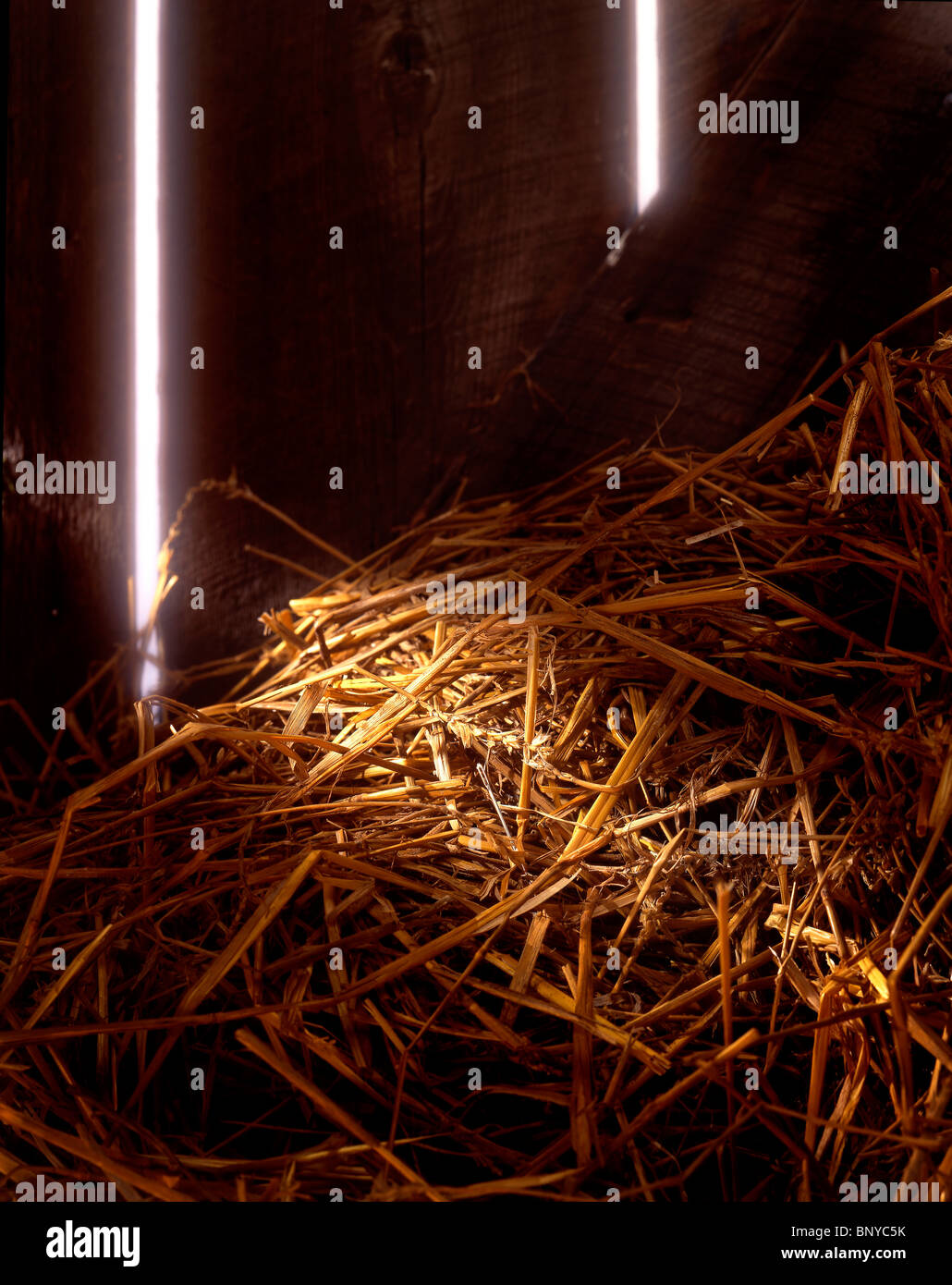 Needle haystack hi-res stock photography and images - Alamy