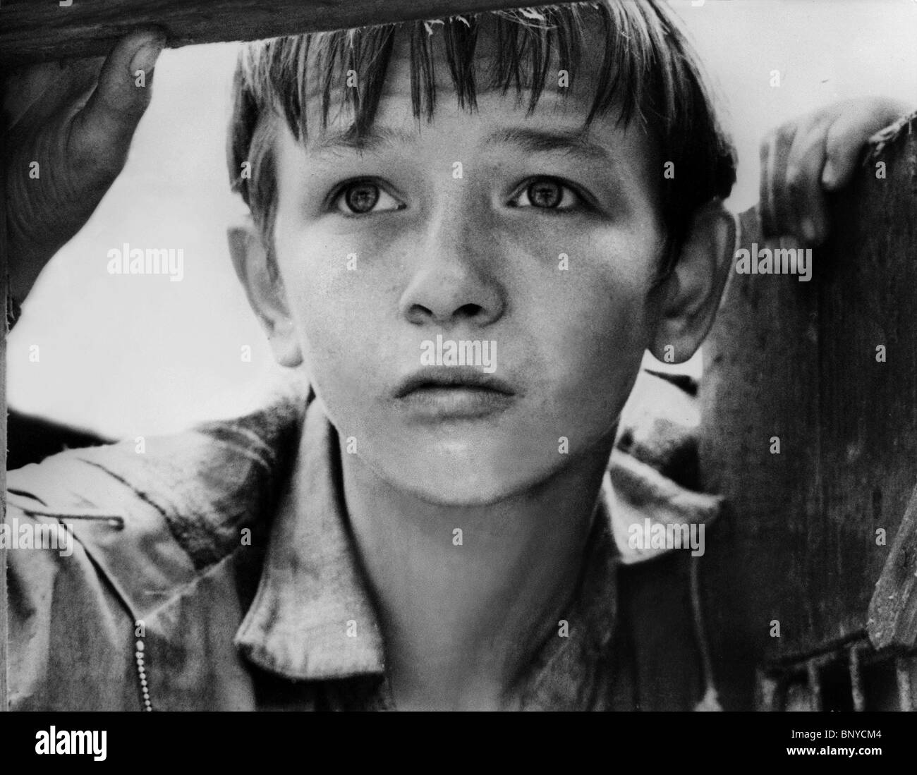 DAVID BRADLEY KES (1969 Stock Photo, Royalty Free Image: 30720820 - Alamy