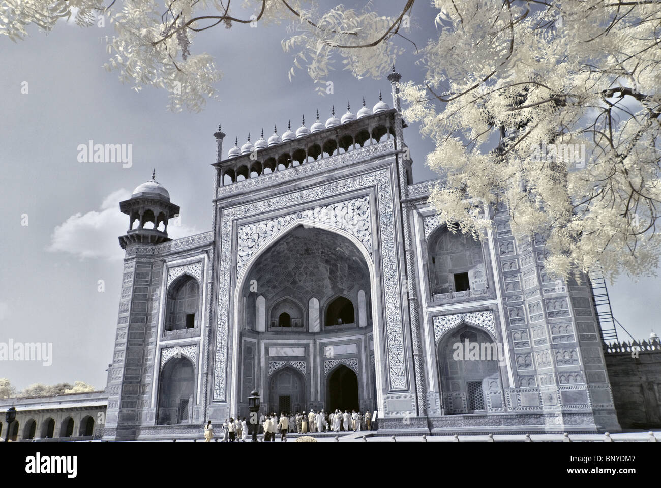 The Great gate - Taj Mahal Stock Photo - Alamy