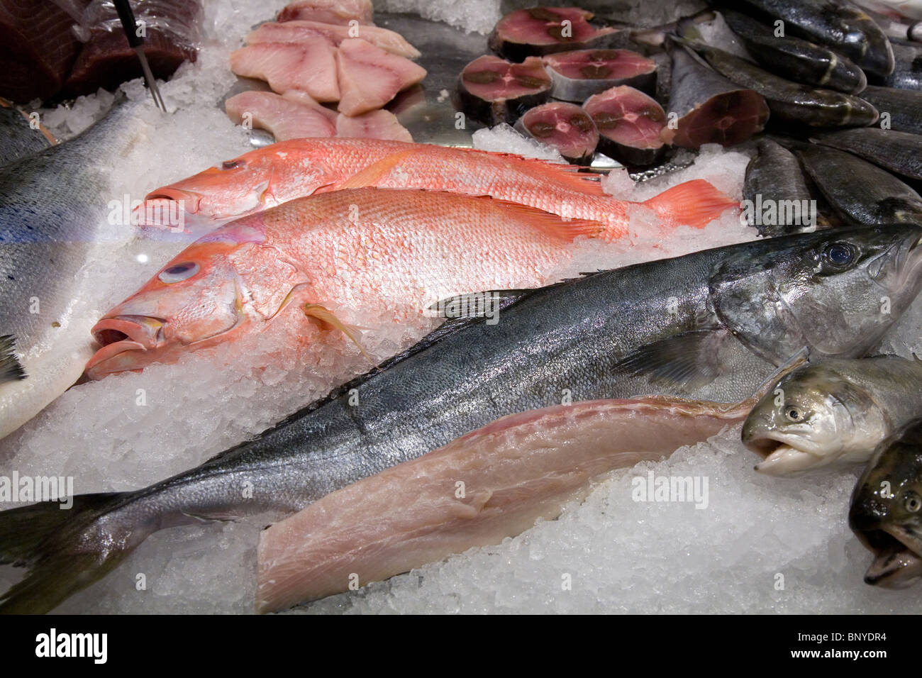 Fresh fish in specialty foods department of KaDeWe, Berlin, Germany ...