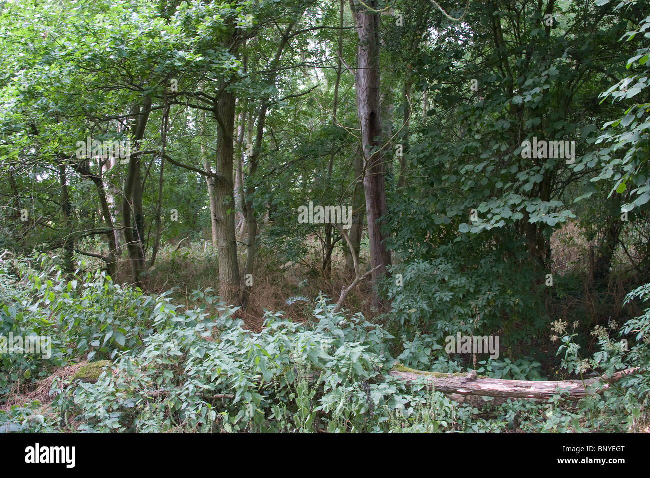 Accessible countryside hi-res stock photography and images - Alamy