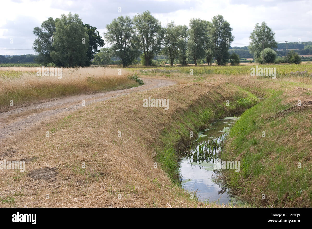 track path trees countryside sunny drainage ditch Stock Photo - Alamy