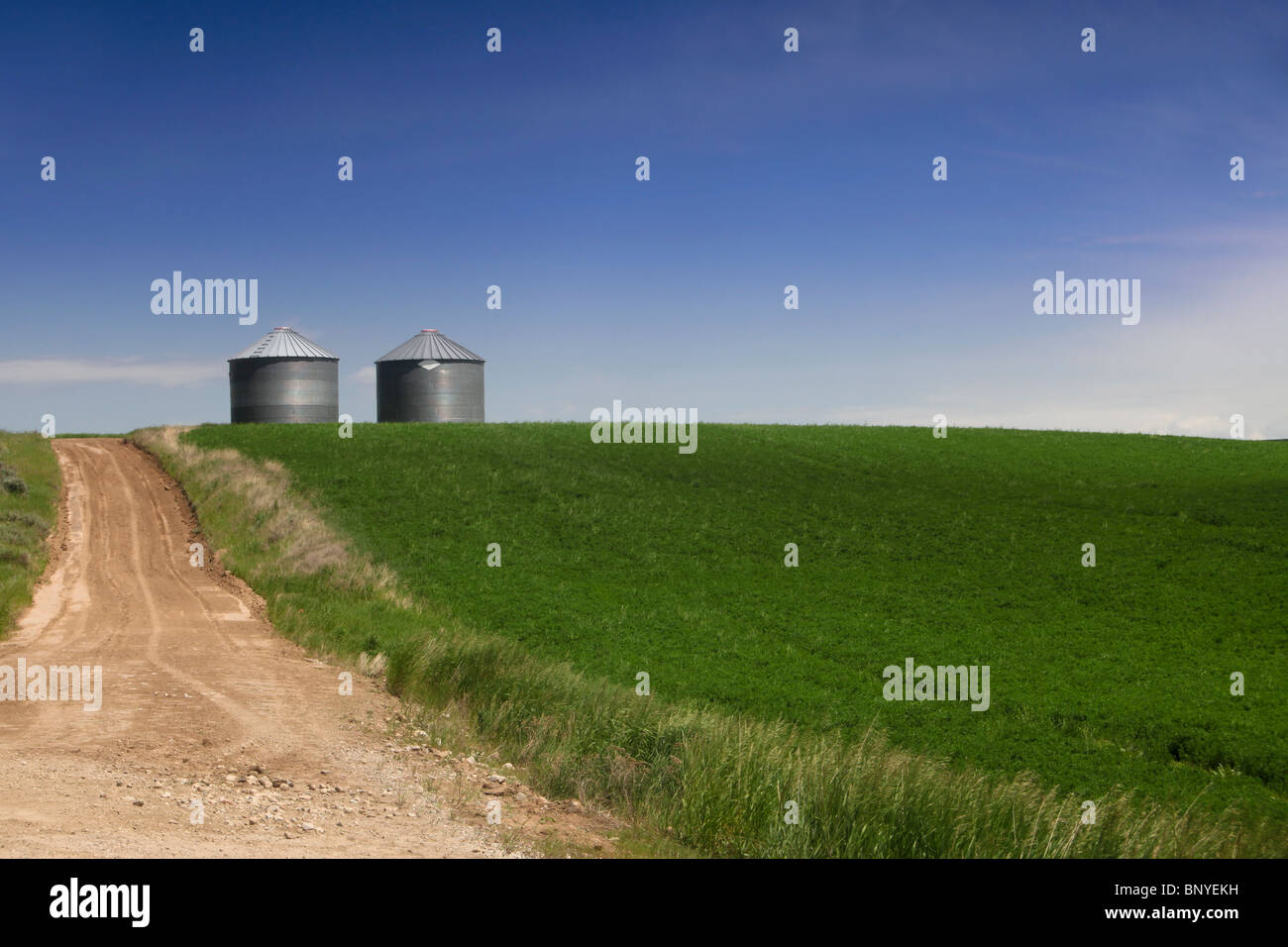 Farm silos field storage silo hi-res stock photography and images - Alamy