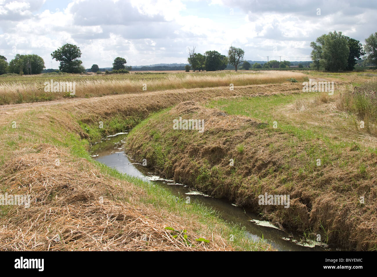 track path trees countryside sunny drainage ditch Stock Photo - Alamy