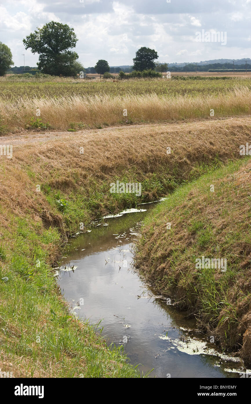 track path trees countryside sunny drainage ditch Stock Photo - Alamy