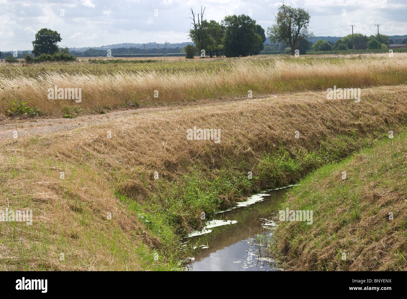 track path trees countryside sunny drainage ditch Stock Photo - Alamy