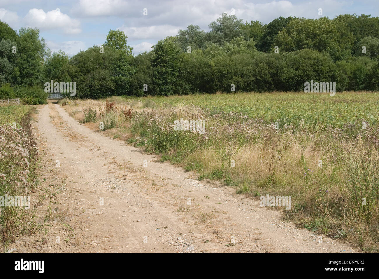 track path field trees countryside sunny solitude Stock Photo - Alamy