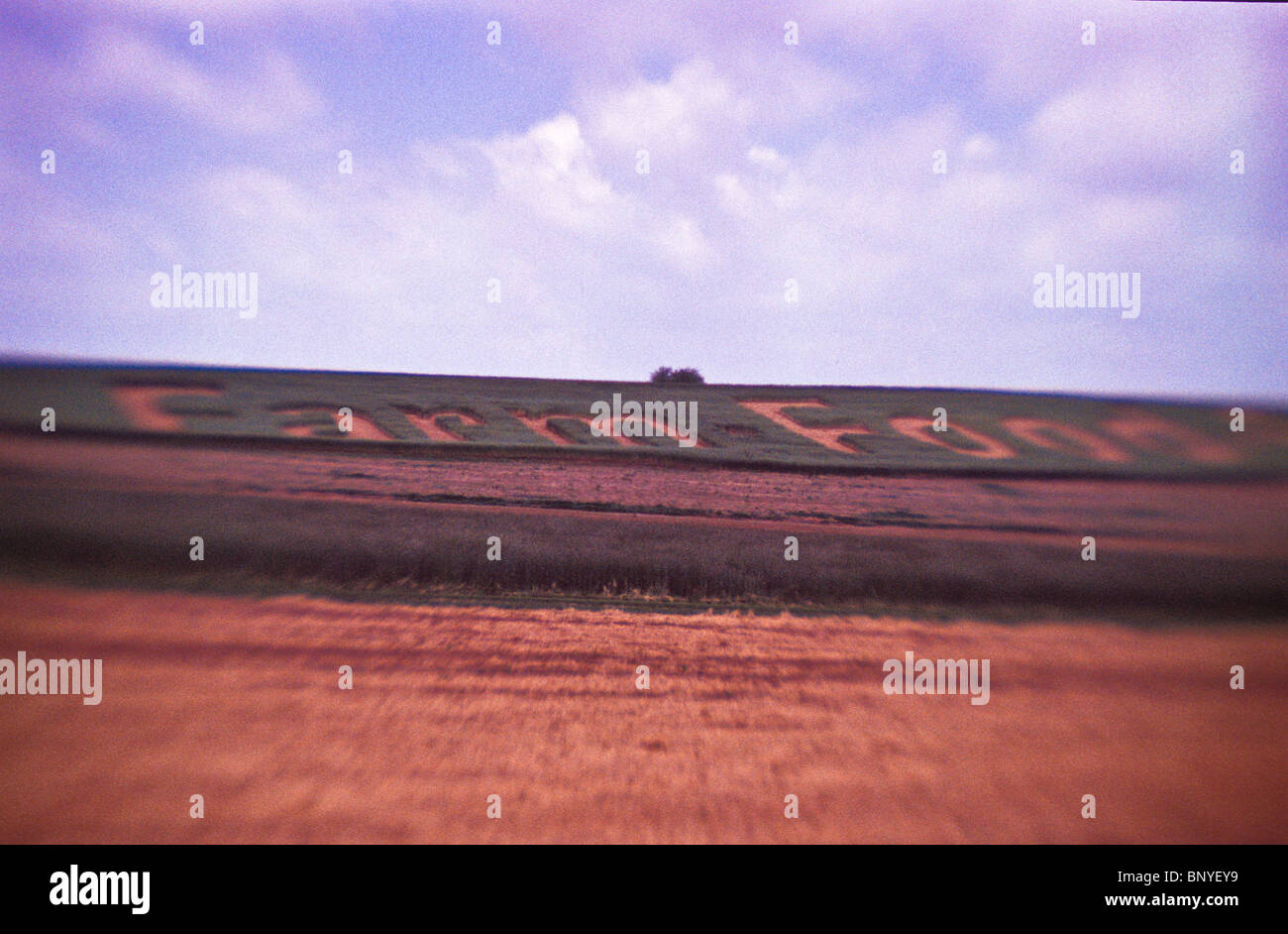 Farm food crop sign in corn field Peaceful Lancaster county farm ...