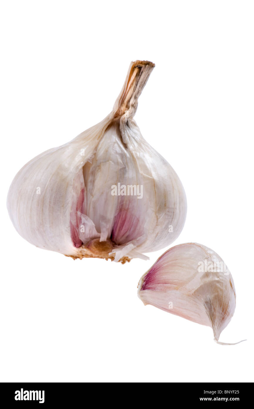 White garlic hi-res stock photography and images - Alamy