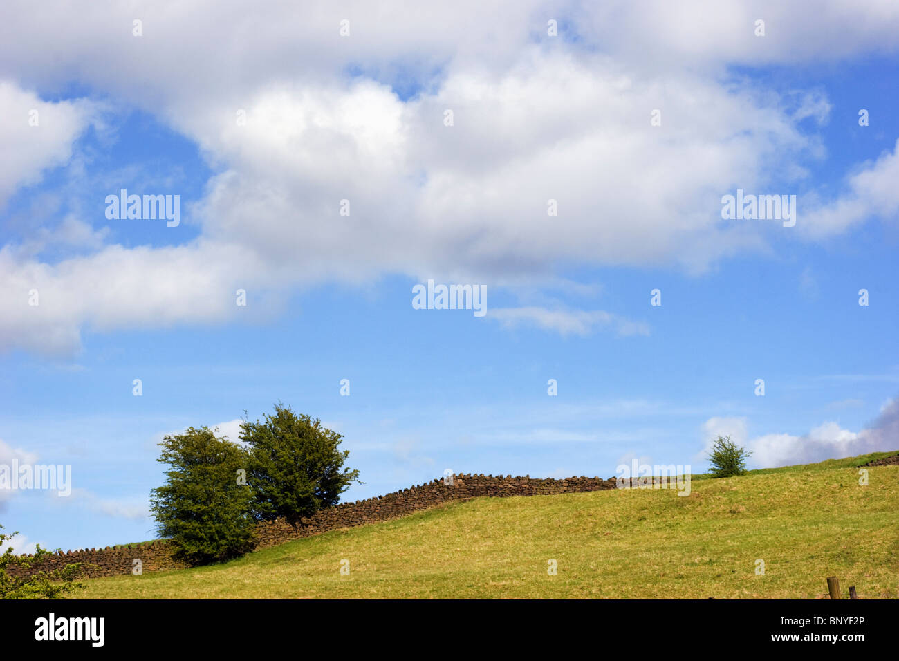 Lancashire field wall hi-res stock photography and images - Alamy